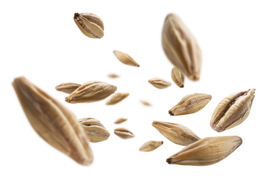 Histoire de la marque - Lorj